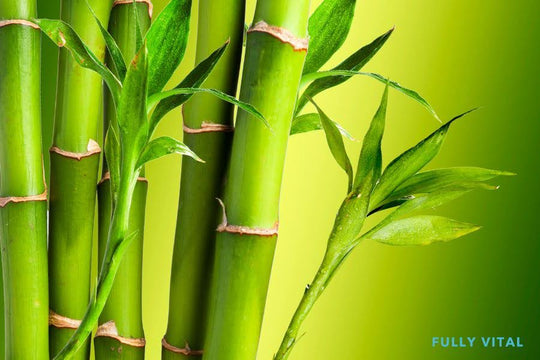 Bamboo Extract: The Secret To Silky, Strong Strands | FullyVital