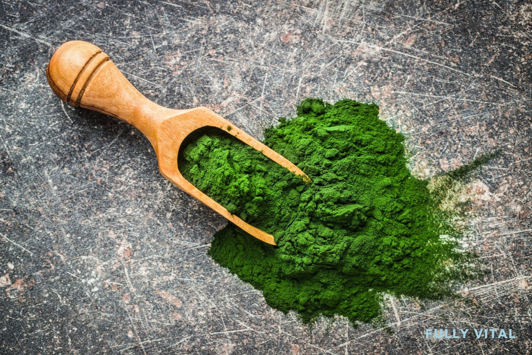 Chlorella: Green Power For Greener Hair | FullyVital