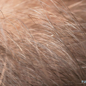 Understanding The Telogen Phase Of Hair Growth For Women: Exploring Key ...