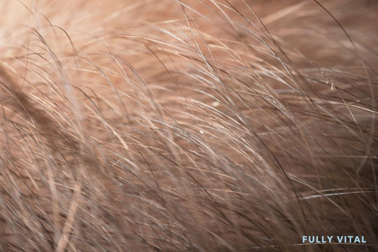 Understanding The Telogen Phase Of Hair Growth For Women: Exploring Key ...