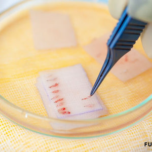 Hair Plugs: All You Need To Know For Stimulating Hair Growth | FullyVital