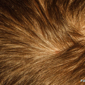 Understanding Hair Whorl: A Key To Hair Growth | FullyVital