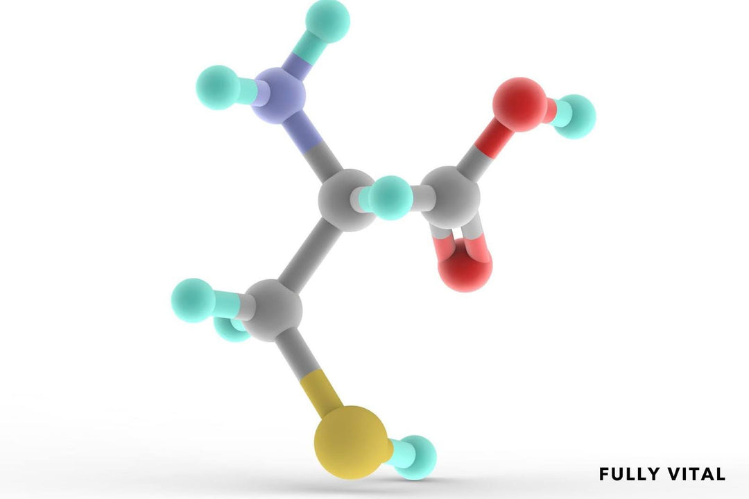 L-Cystine: Building Better Hair, Strand by Strand | FullyVital
