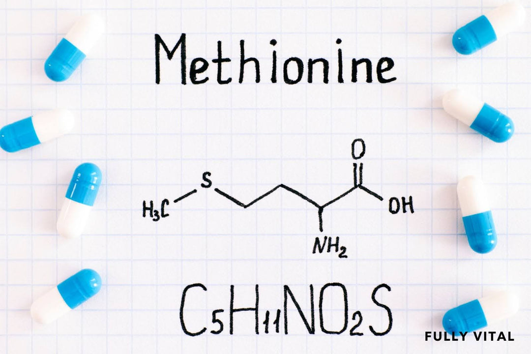 L-Methionine: Amino Acid Ally For Hair | FullyVital