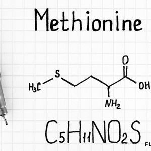 Methionine: A Sulfur Source for Hair Success | FullyVital