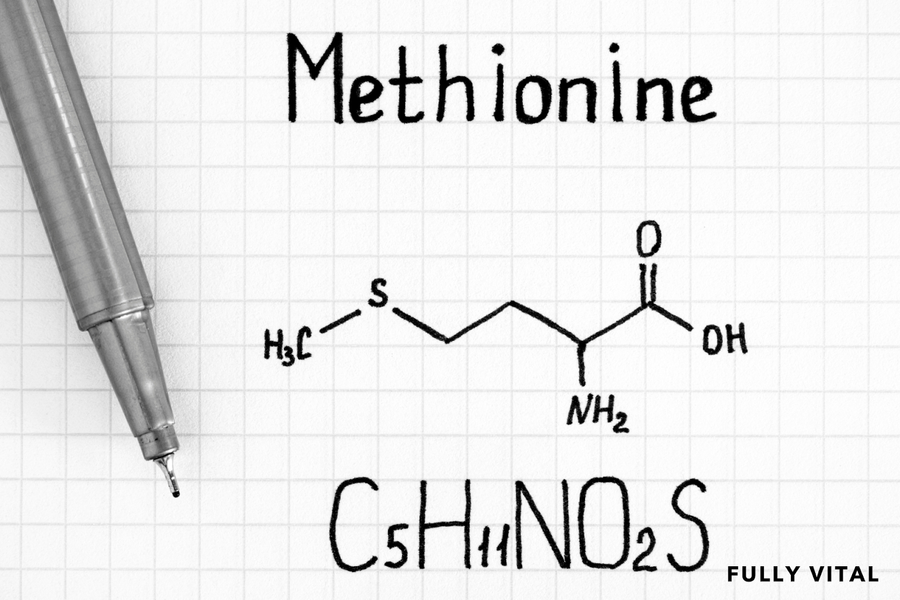 Methionine: A Sulfur Source for Hair Success | FullyVital