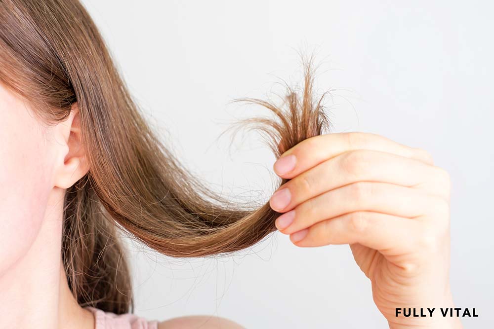 Understanding Split Ends: Causes, Prevention, and Treatment for Healthy ...