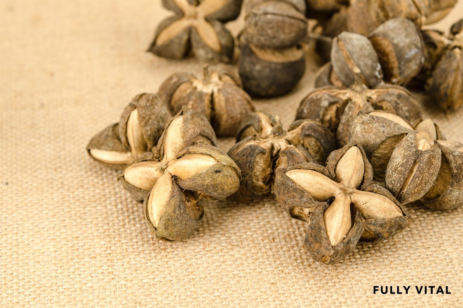 Discover The Power Of Sacha Inchi Oil For Lustrous Hair | FullyVital