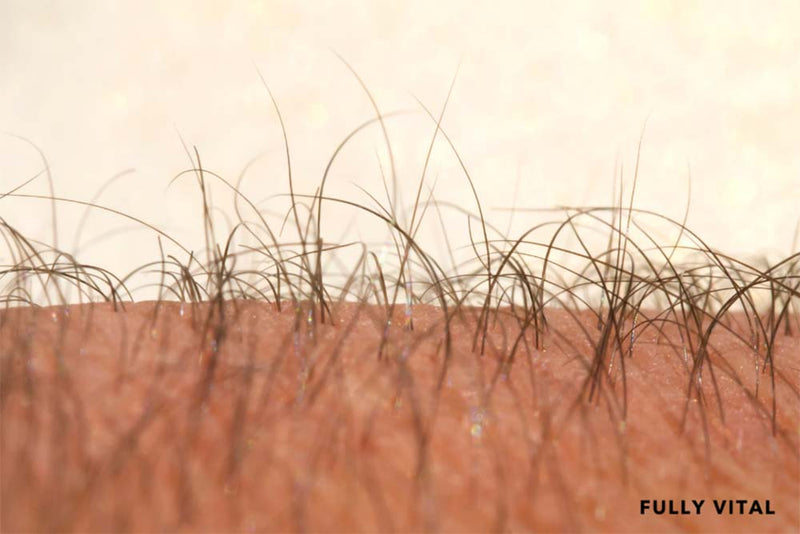 Understanding Vellus Hair: Your Comprehensive Guide