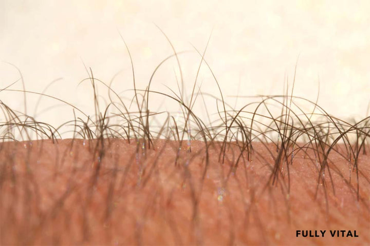 Understanding Vellus Hair: Your Comprehensive Guide | FullyVital