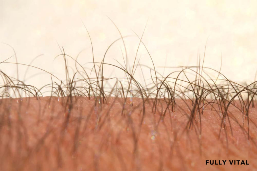 Understanding Vellus Hair: Your Comprehensive Guide | FullyVital